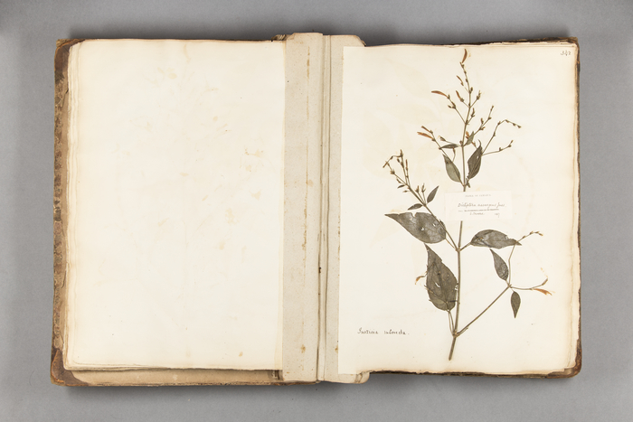 Biology - Bristol Museums Collections