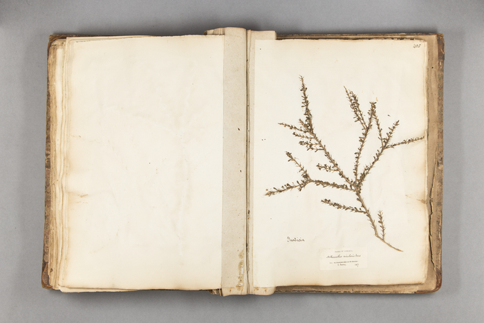 Biology - Bristol Museums Collections