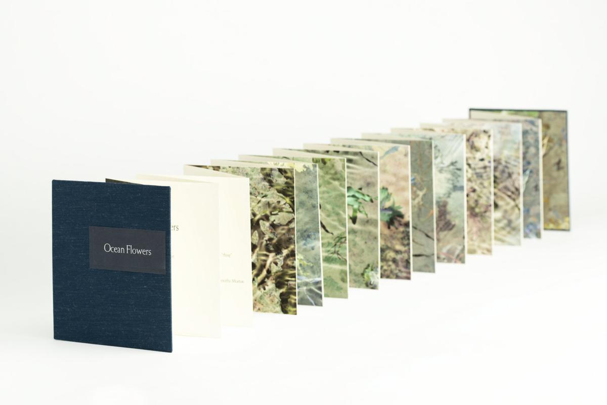 Amelia Warren Griffiths (1768-1858) - Royal Albert Memorial Museum ...